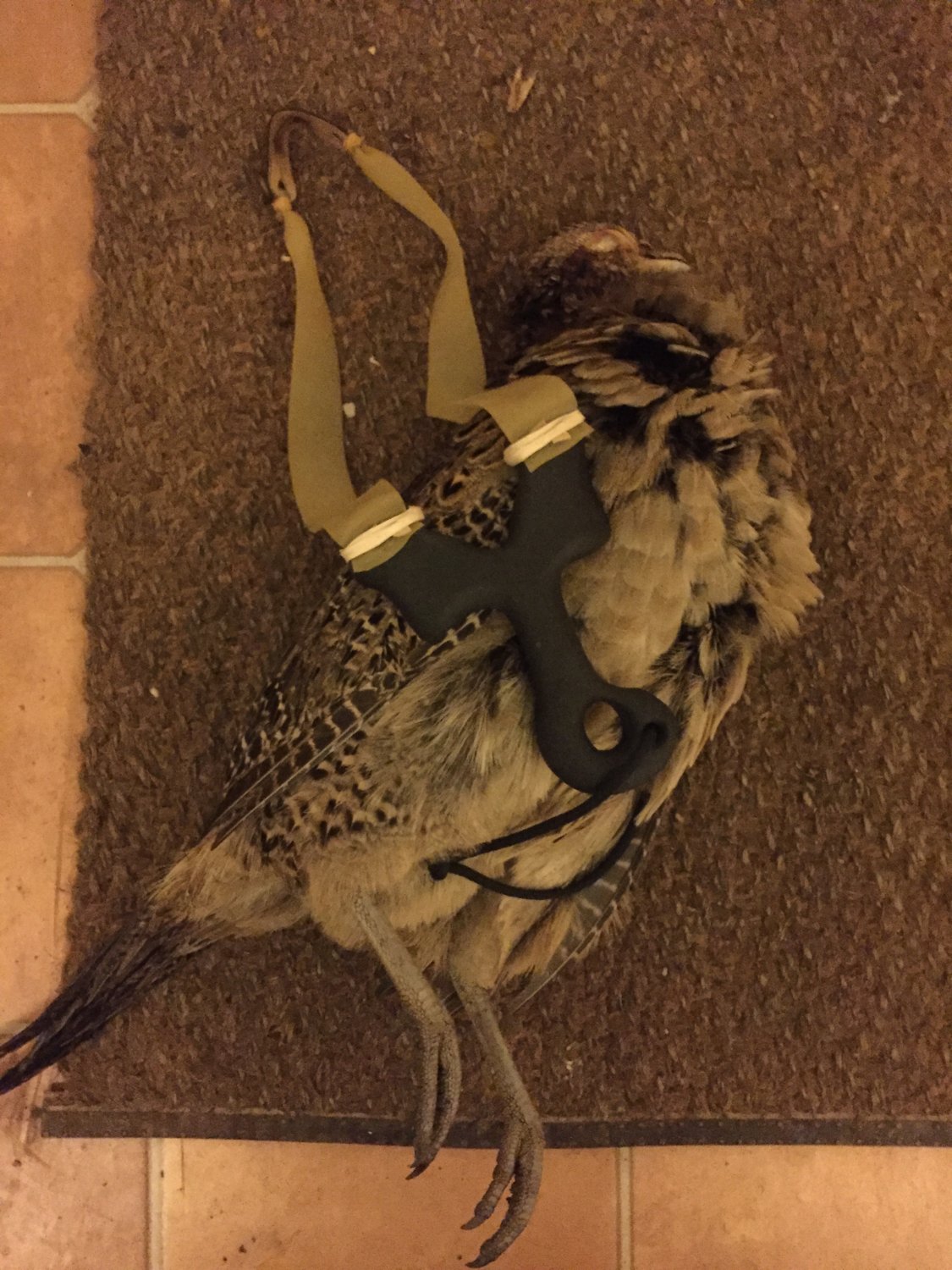 Hunting pics Pocket Predator Slingshots