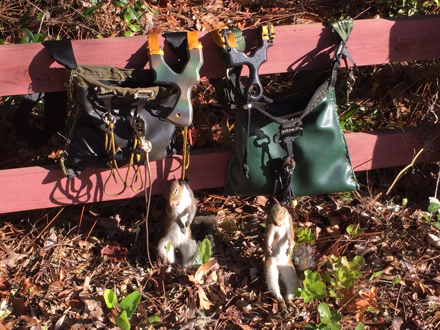 Hunting pics Pocket Predator Slingshots