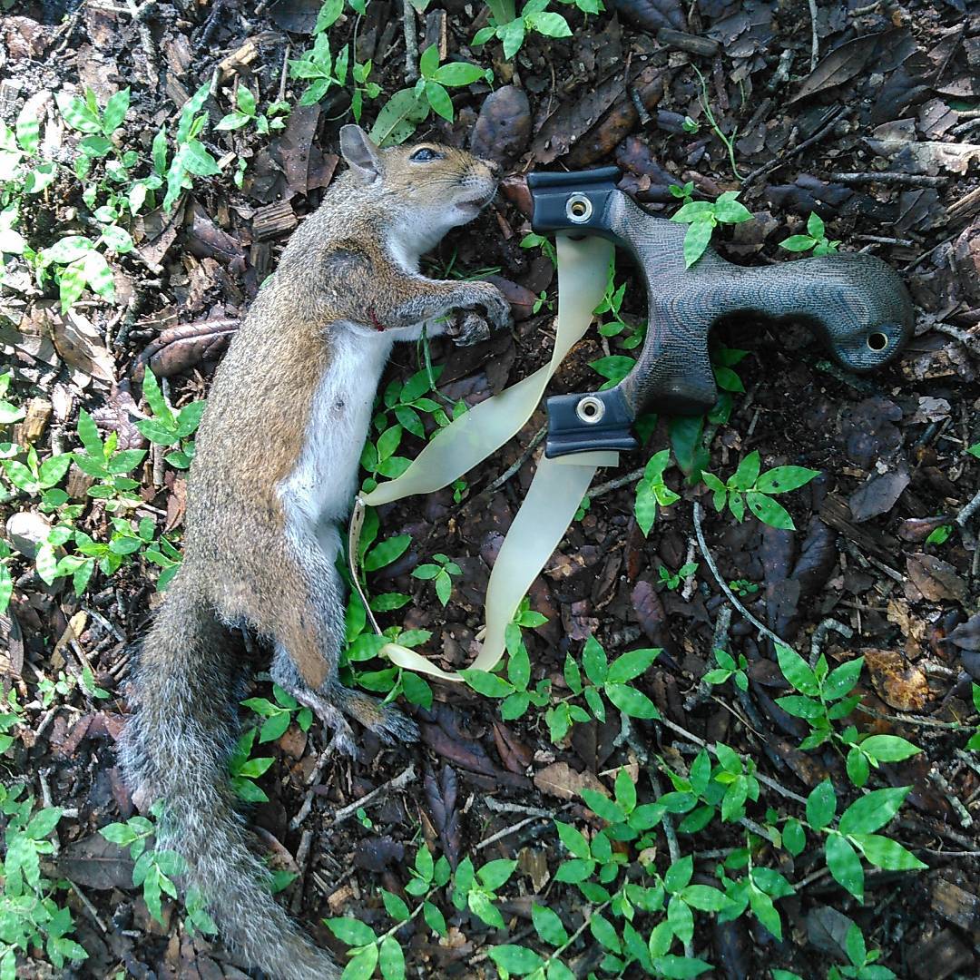 Hunting pics Pocket Predator Slingshots