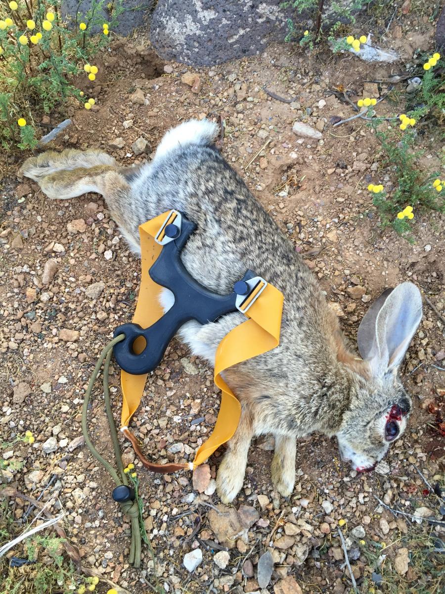 Hunting pics Pocket Predator Slingshots
