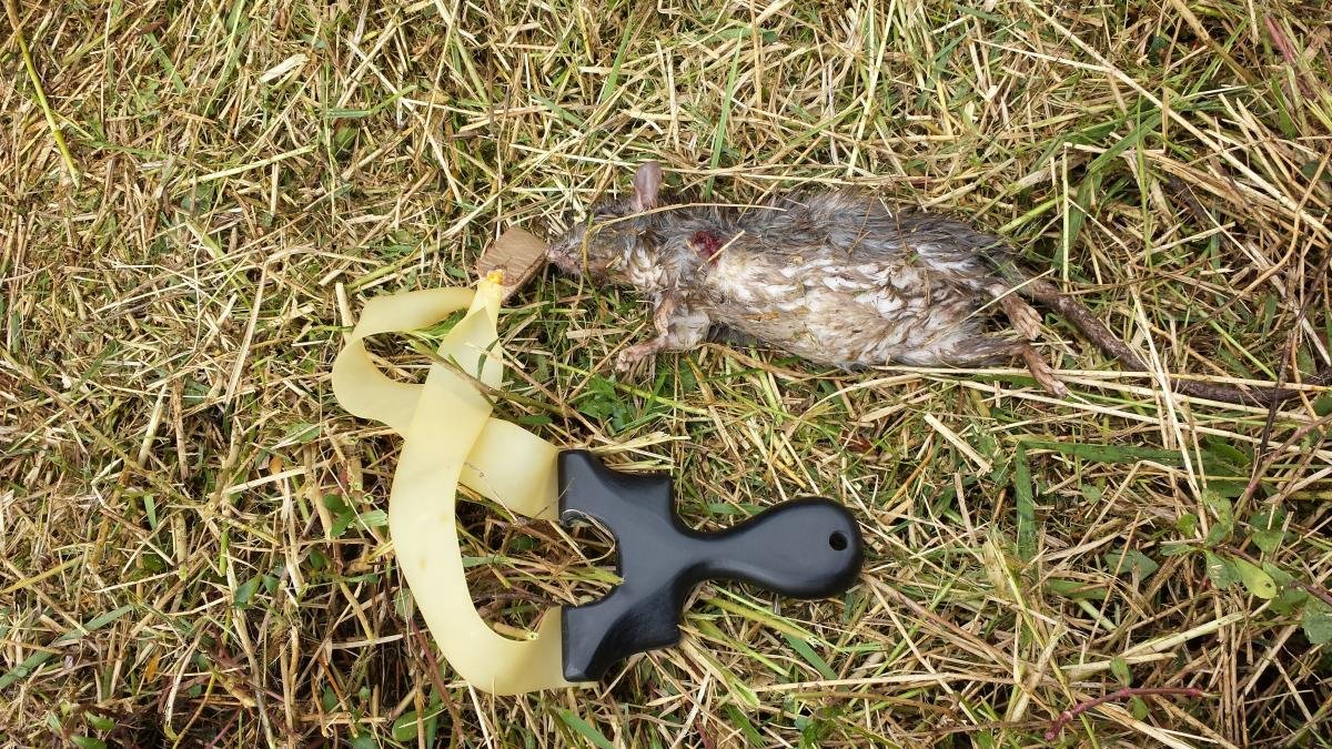 Hunting pics Pocket Predator Slingshots