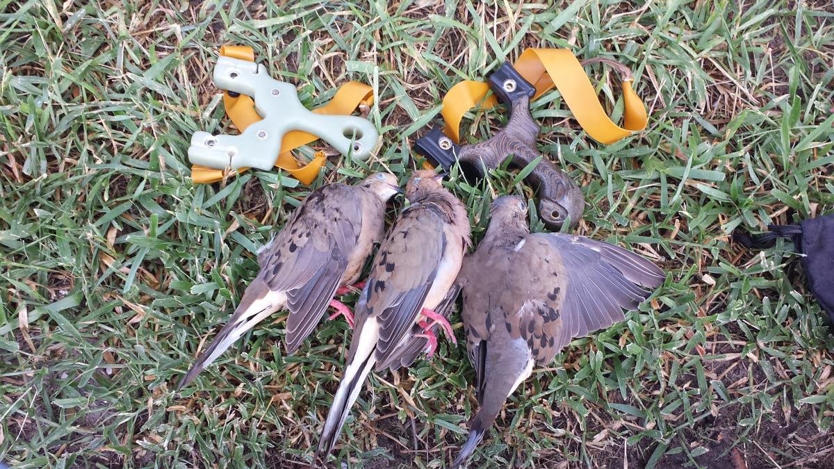 Hunting pics Pocket Predator Slingshots