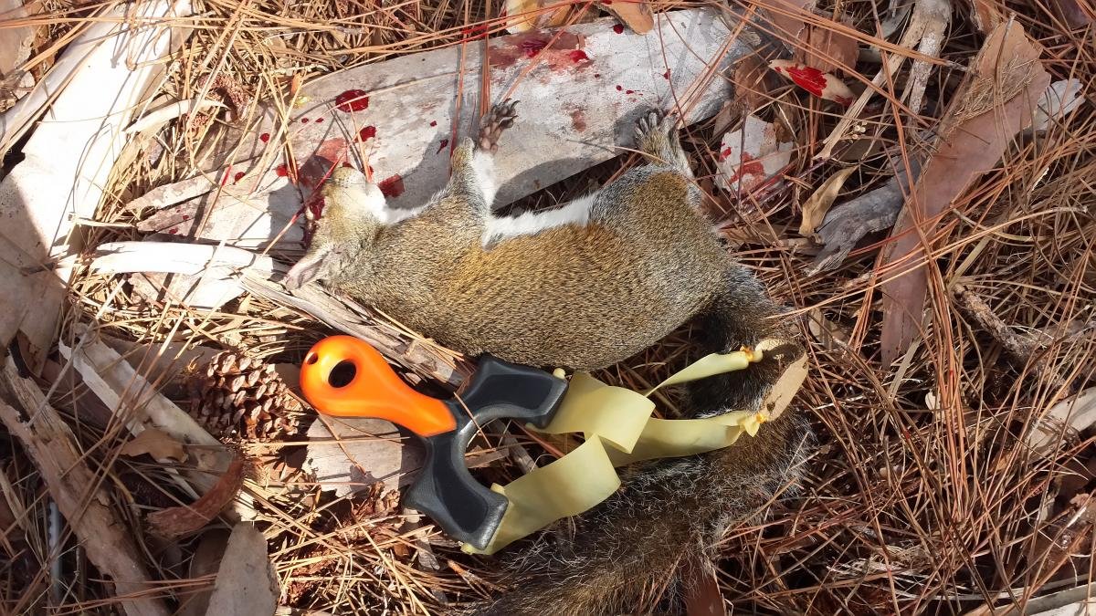 Hunting pics Pocket Predator Slingshots