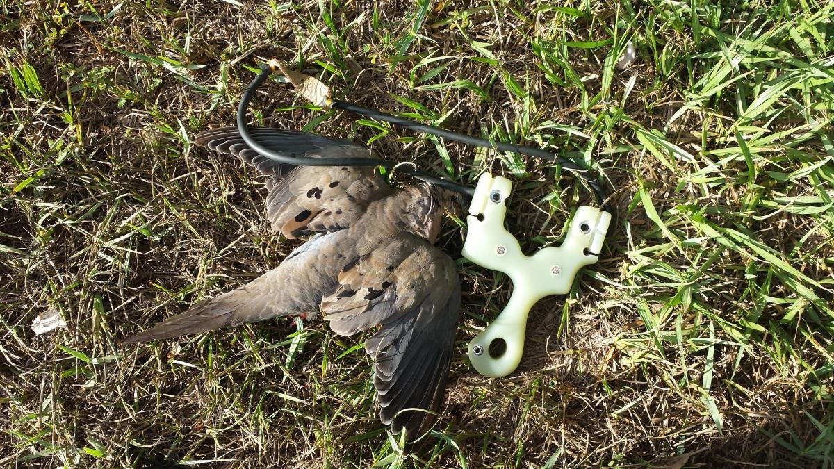 Hunting pics Pocket Predator Slingshots