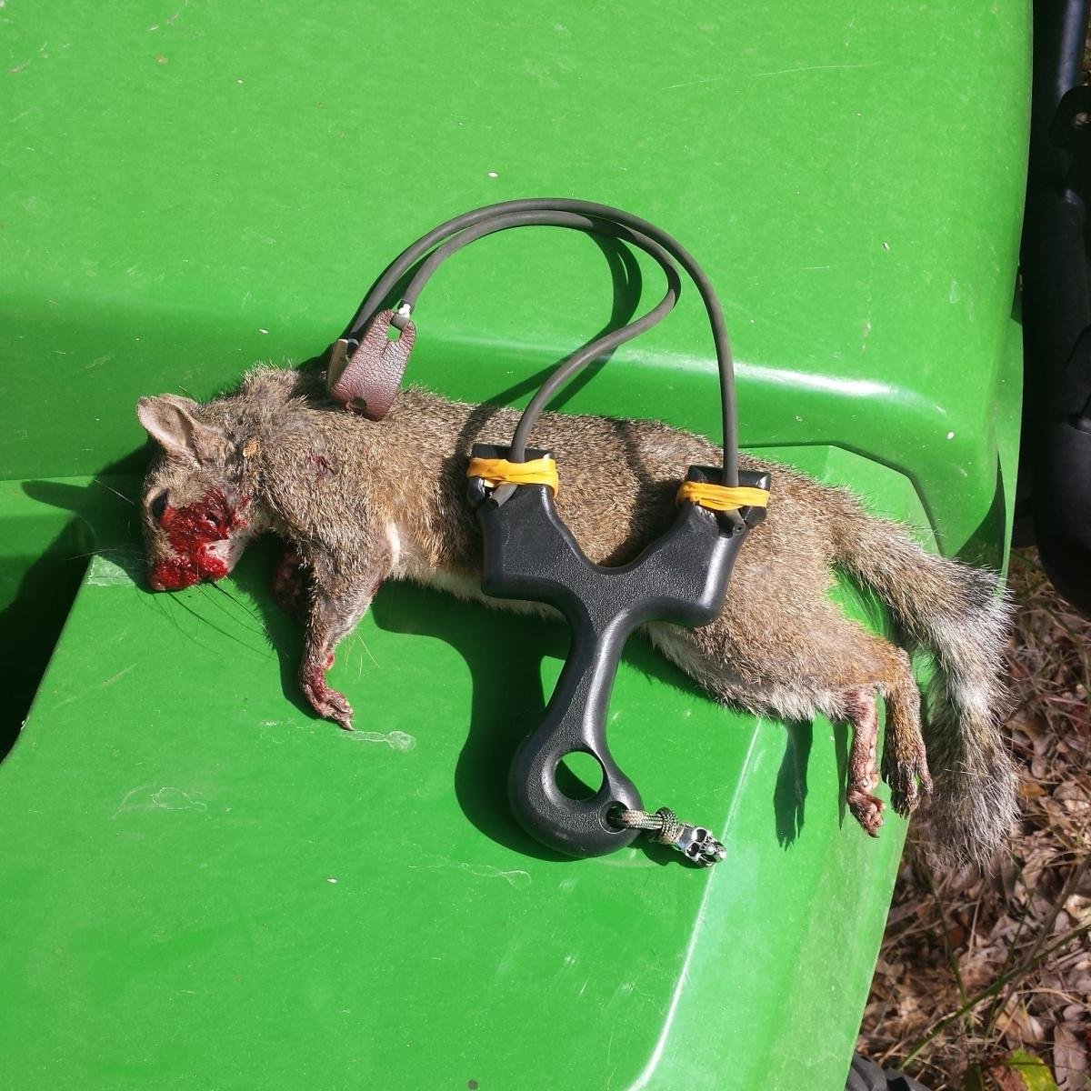 Hunting pics Pocket Predator Slingshots